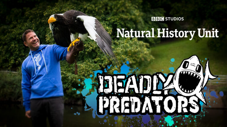 Production Bullet Time Rigs In Europe - New World Designs